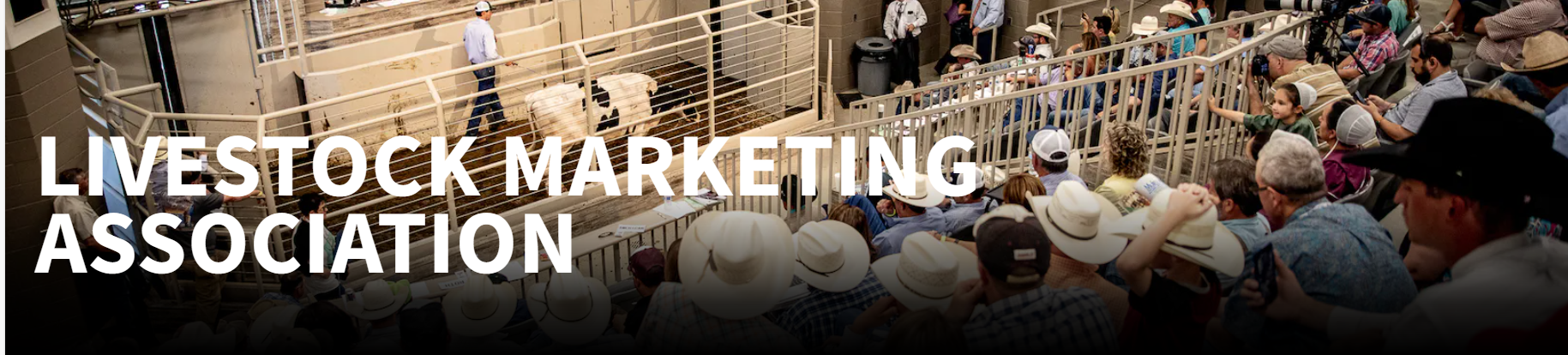 LIVESTOCK MARKETING ASSOCIATION – Texas Agriculture Council